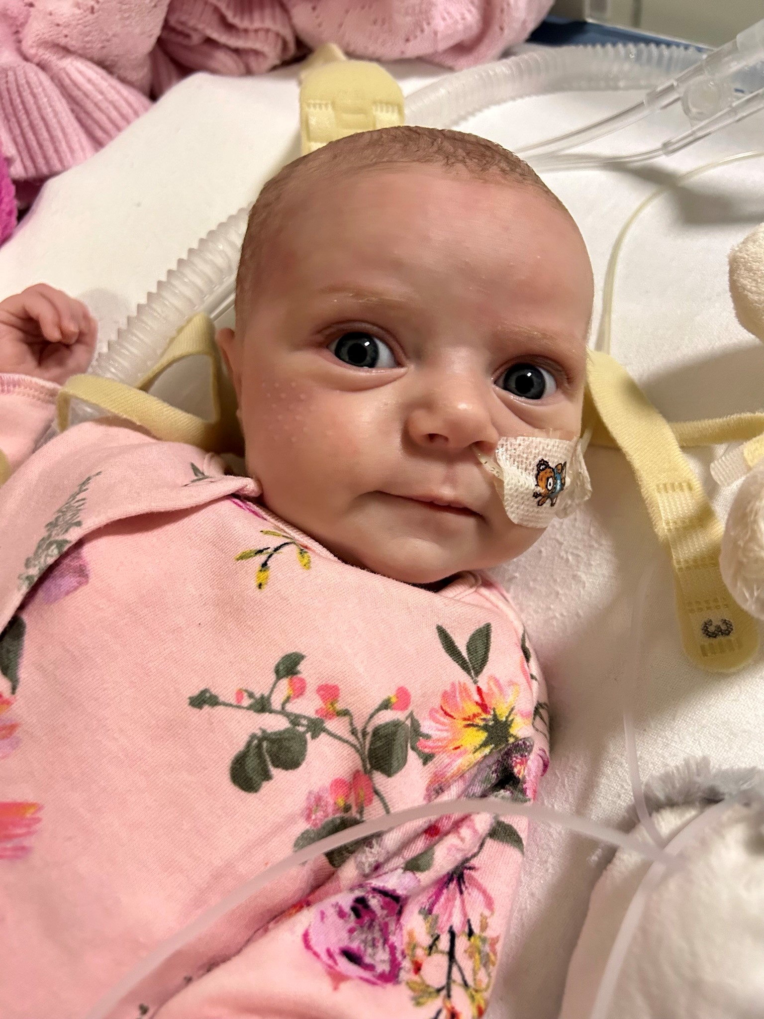 Children's Heart Federation | Daisy’s story